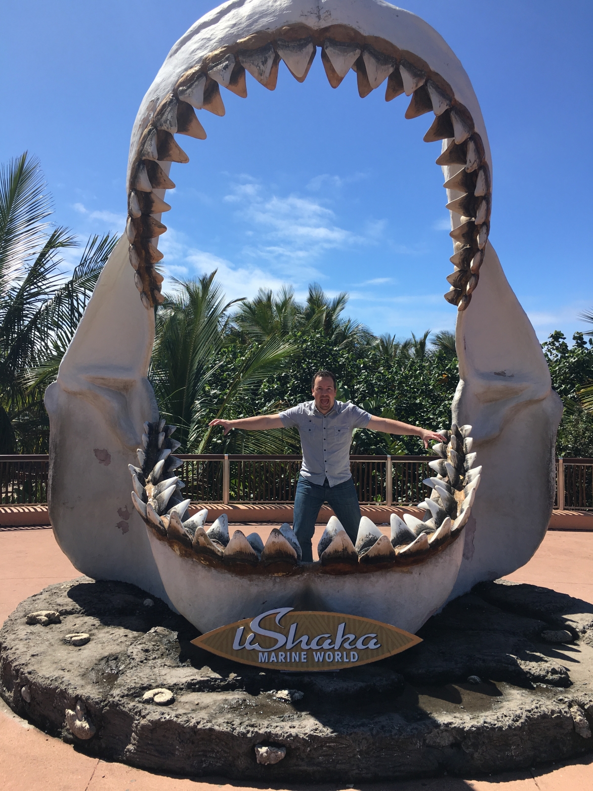 Things to Do in Durban | 9 Fun Spots for Your Vacation - Mama to the ...